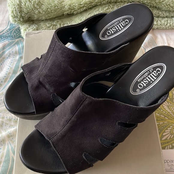 Callisto | Shoes | Callisto Beacon Platform Wedge Sandal | Poshmark